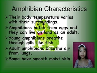 Classification of Animals-Seanna Sofiah Santillan.ppt