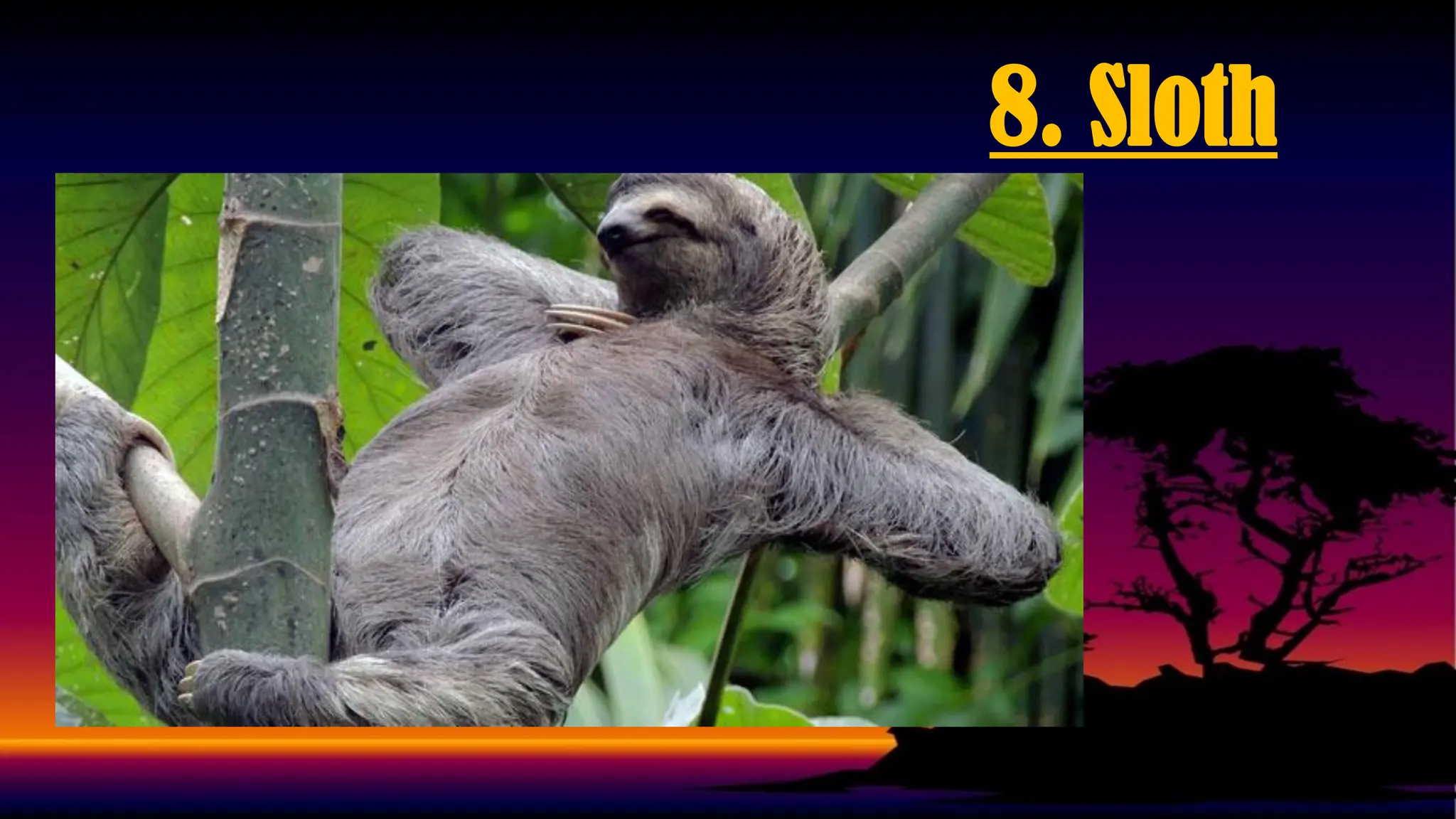 Classification of Animals - Vertebrates and Invertebrates with activity.pdf