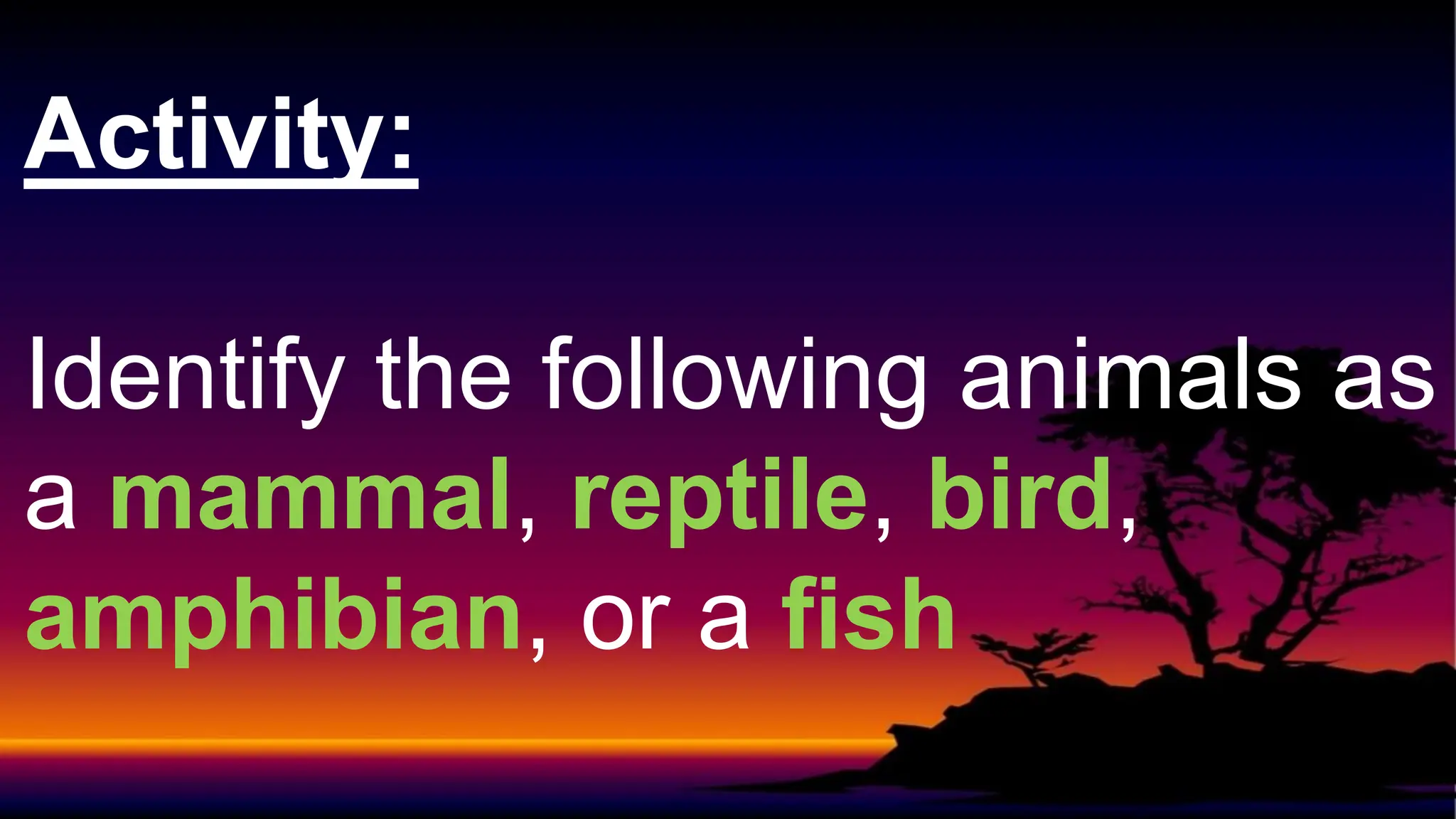 Classification of Animals - Vertebrates and Invertebrates with activity.pdf