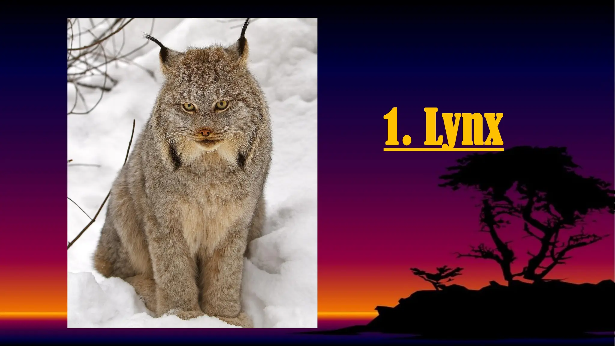 Classification of Animals - Vertebrates and Invertebrates with activity.pdf