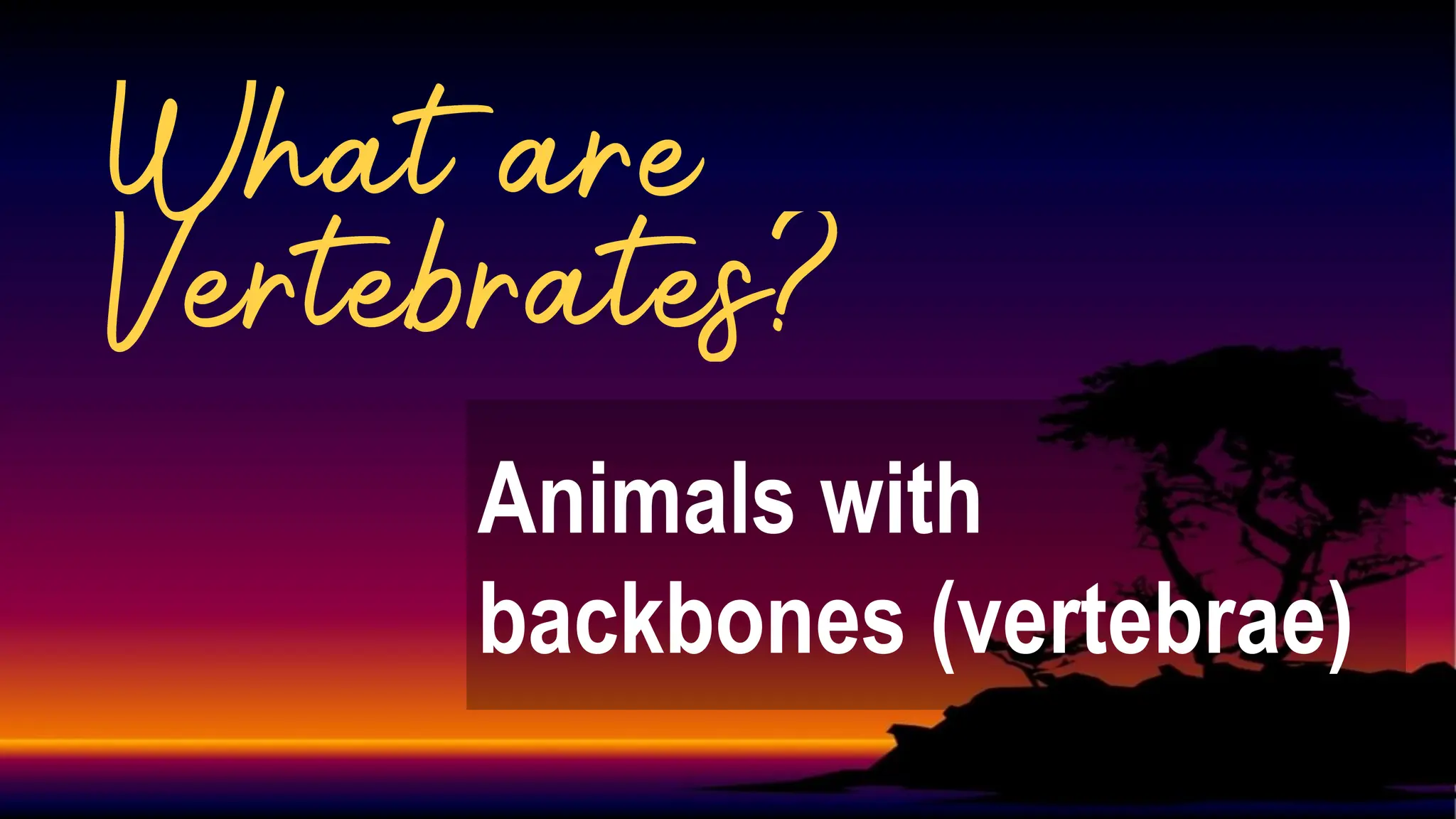 Classification of Animals - Vertebrates and Invertebrates with activity.pdf