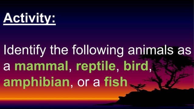 Classification of Animals - Vertebrates and Invertebrates with activity.pdf