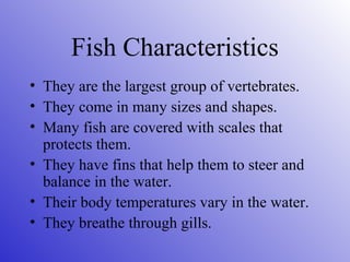 Classificationofanimals 5 9_2014_5_21_48_pm | PPT