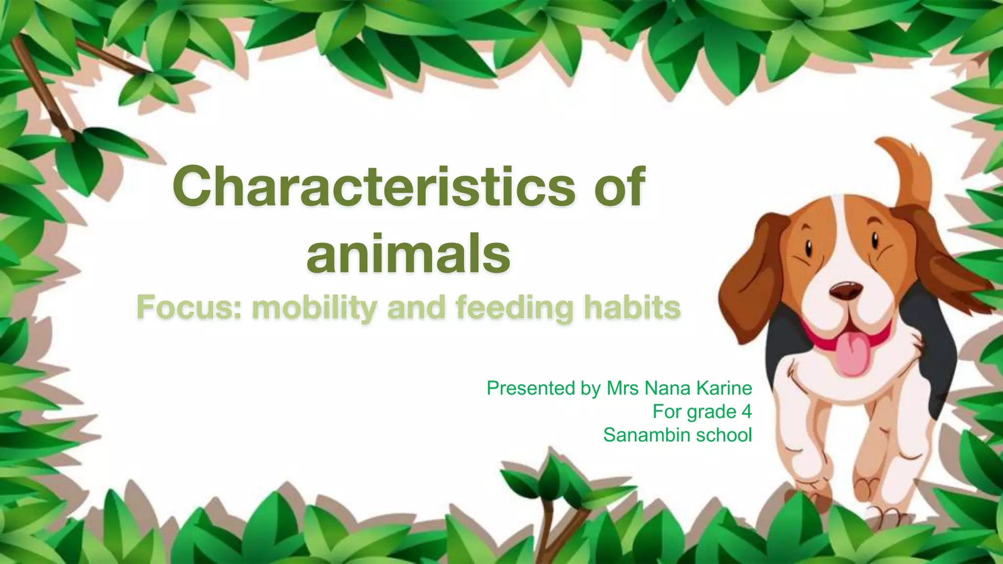 Classification of animals based on mobility and feeding habits | PPTX