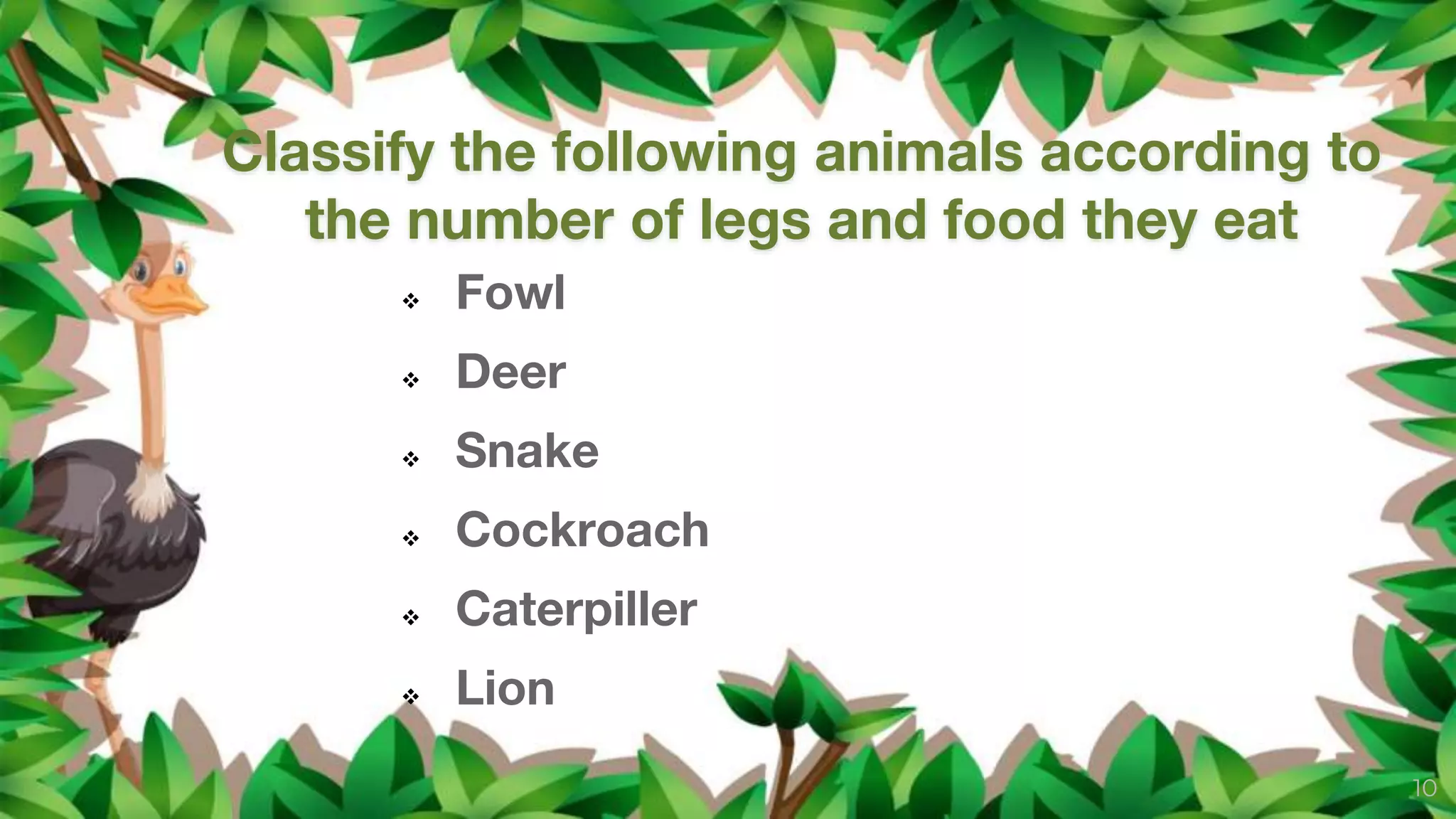 Classification of animals based on mobility and feeding habits | PPTX