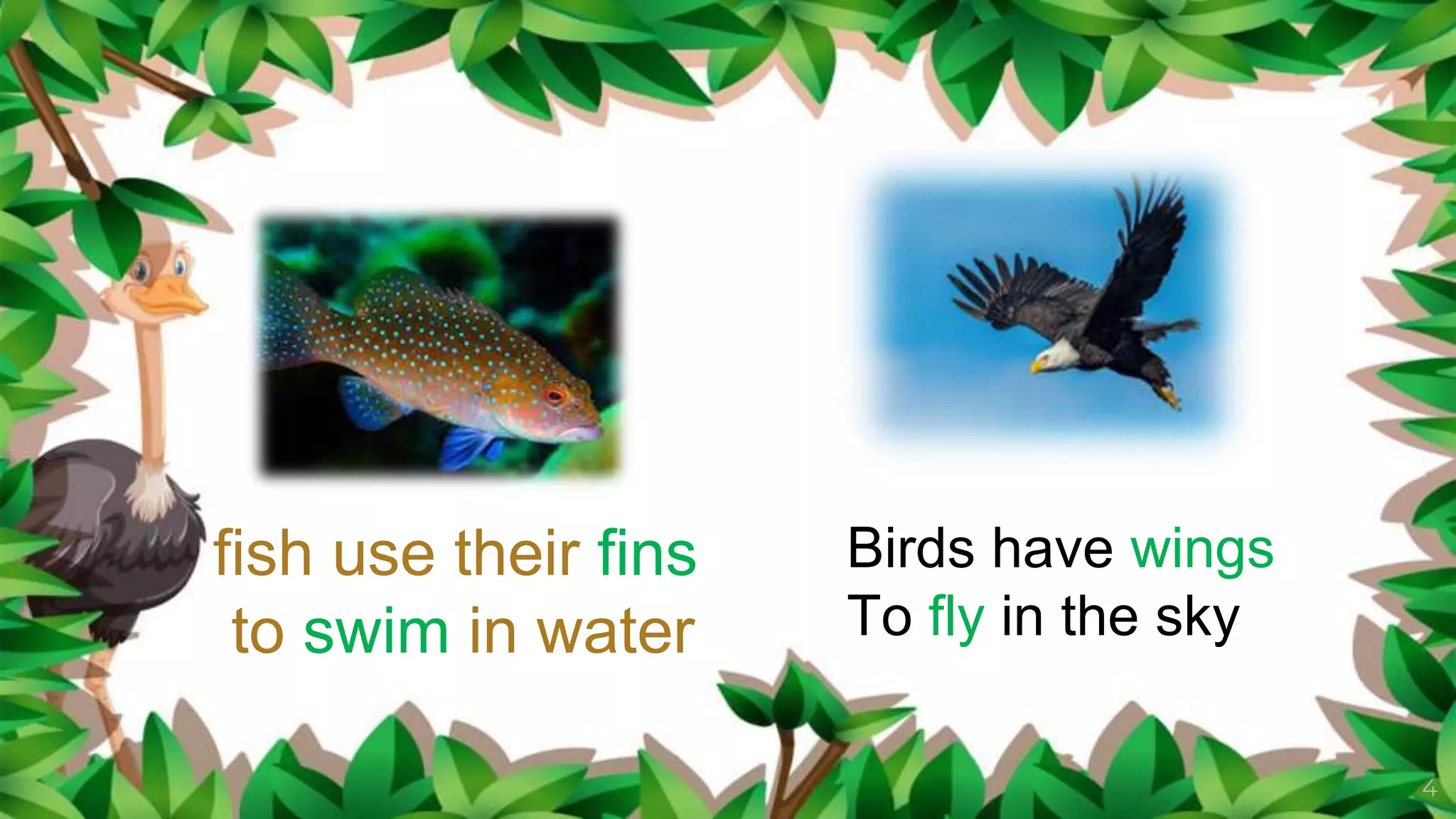 Classification of animals based on mobility and feeding habits | PPTX