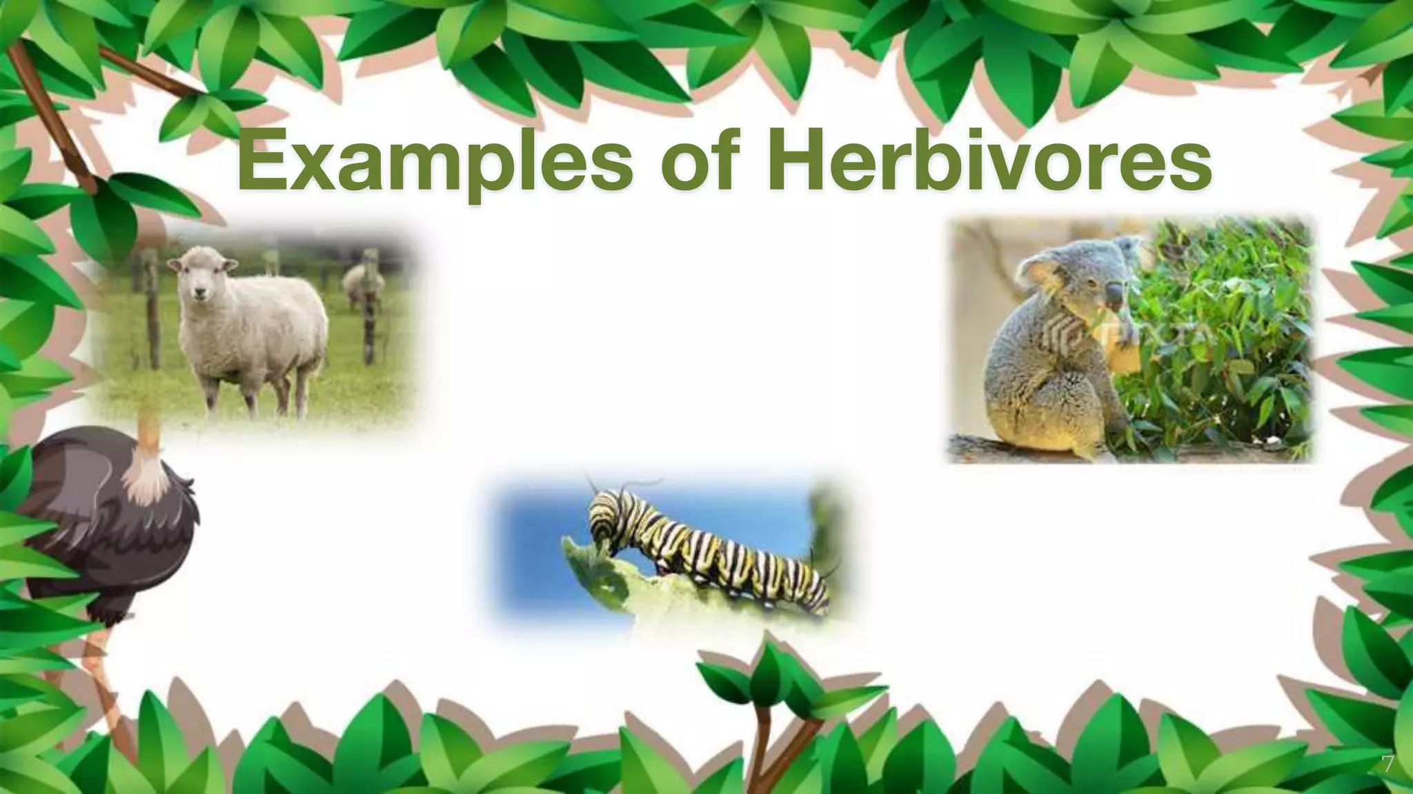 Classification of animals based on mobility and feeding habits | PPTX