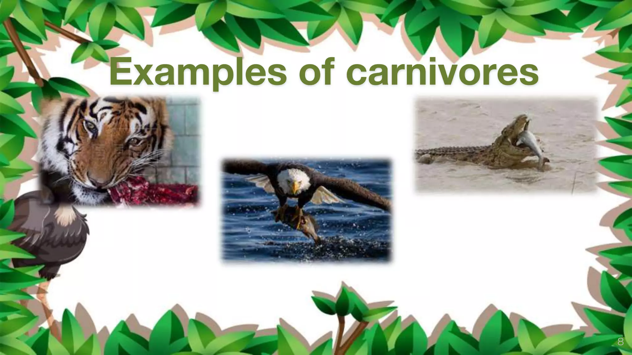 Classification of animals based on mobility and feeding habits | PPTX