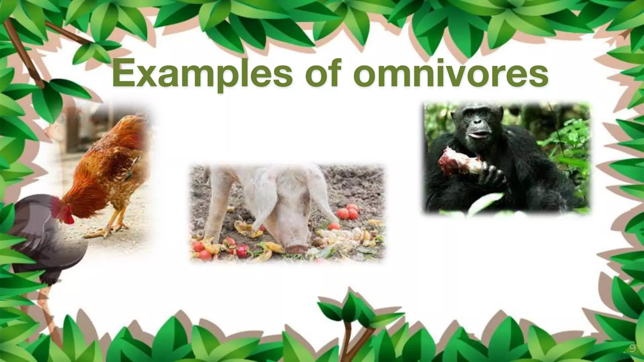 Classification of animals based on mobility and feeding habits | PPTX