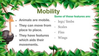 Classification of animals based on mobility and feeding habits | PPTX