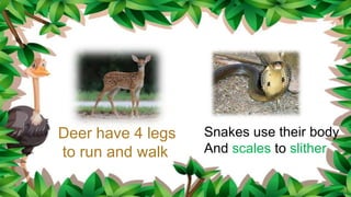 Classification of animals based on mobility and feeding habits | PPTX