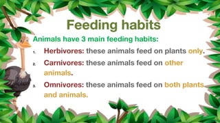 Classification of animals based on mobility and feeding habits | PPTX