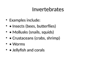 Grade 5_Classification_of_Animals_Elementary.pptx