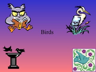 classification of animals good presentation.ppt