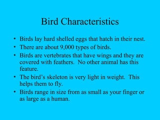 classification of animals good presentation.ppt