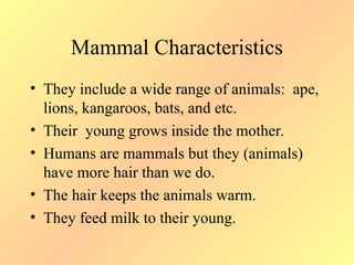 classification of animals good presentation.ppt