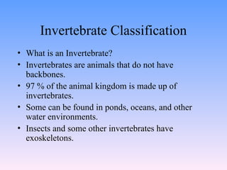 classification of animals good presentation.ppt