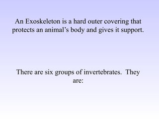 classification of animals good presentation.ppt