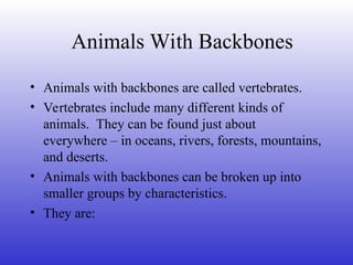 classification of animals good presentation.ppt