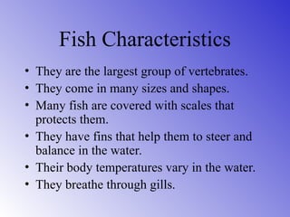 classification of animals good presentation.ppt