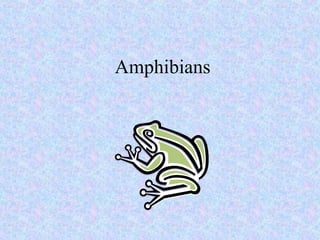 classification of animals good presentation.ppt
