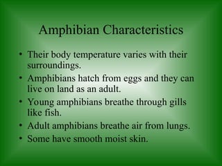 classification of animals good presentation.ppt