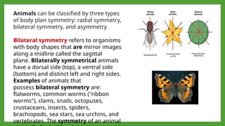 CLASSIFICATION OF ANIMALS . invertebrates and vertebrates. suitable for ...