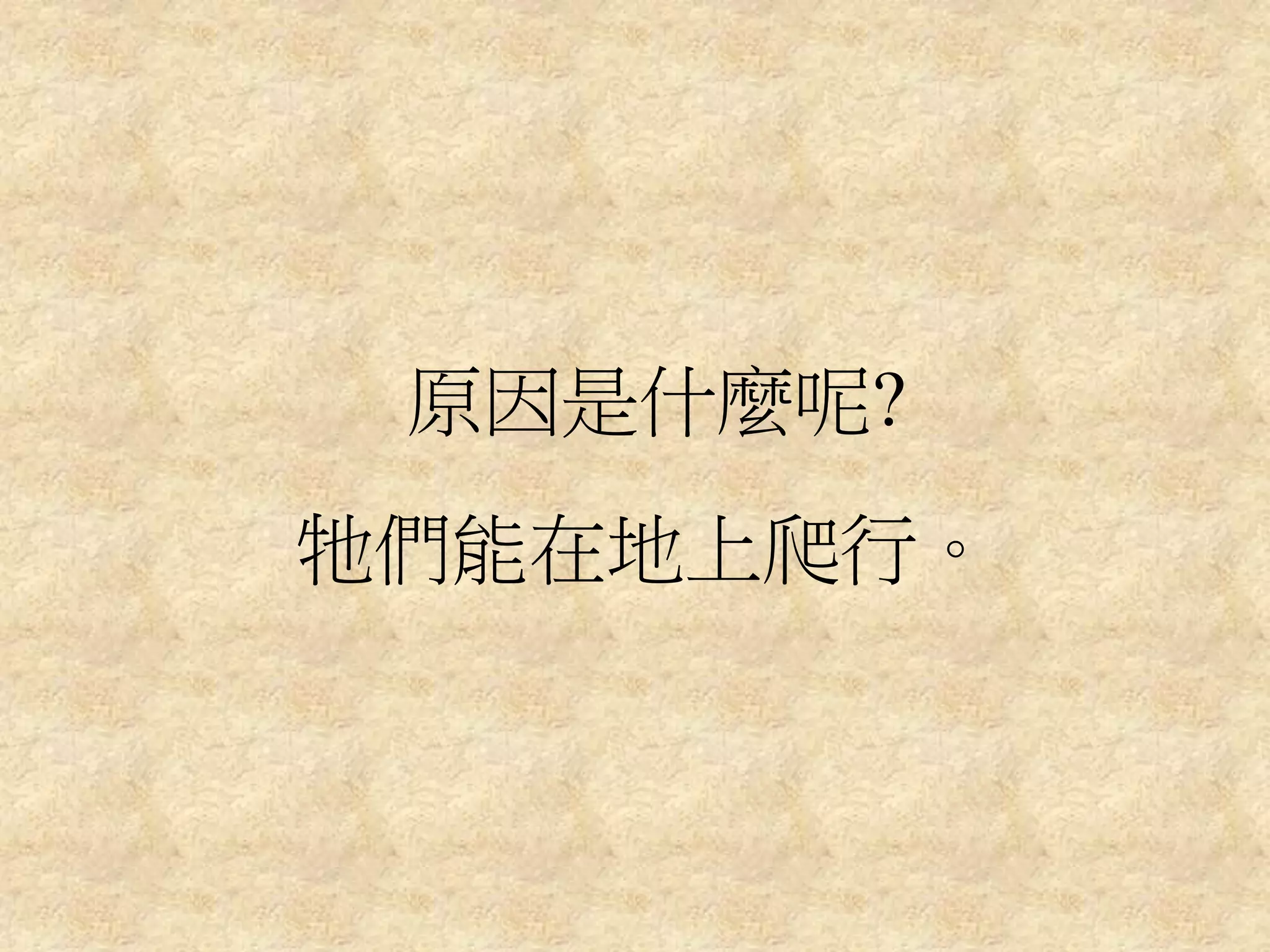 Classificationofanimals(sung cheuk fan) | PPT