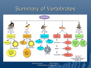 Classification of animals with lesson plan | PPT