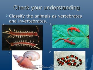 Classification of animals with lesson plan | PPT