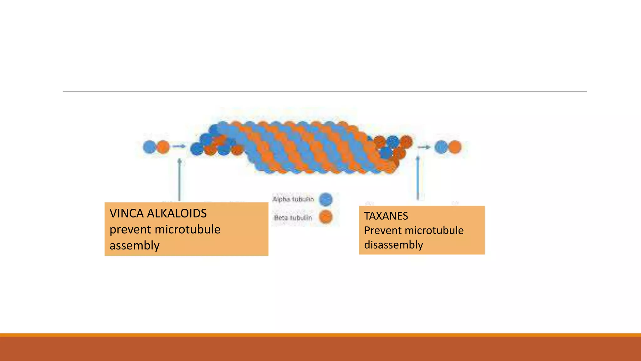 Classification of anti cancer drugs | PPTX