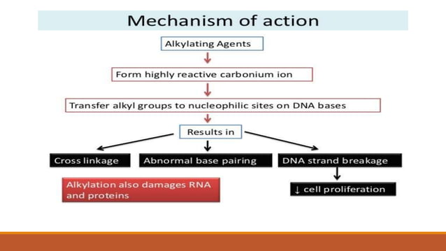 Classification of anti cancer drugs | PPTX | Cancer | Diseases and ...