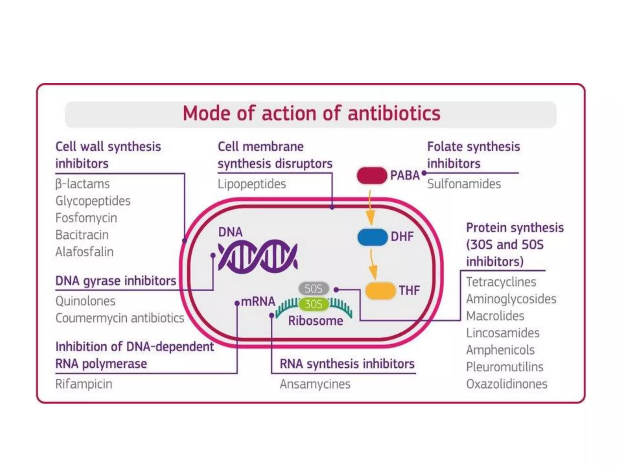 Classification of antimicrobial drugs | PDF