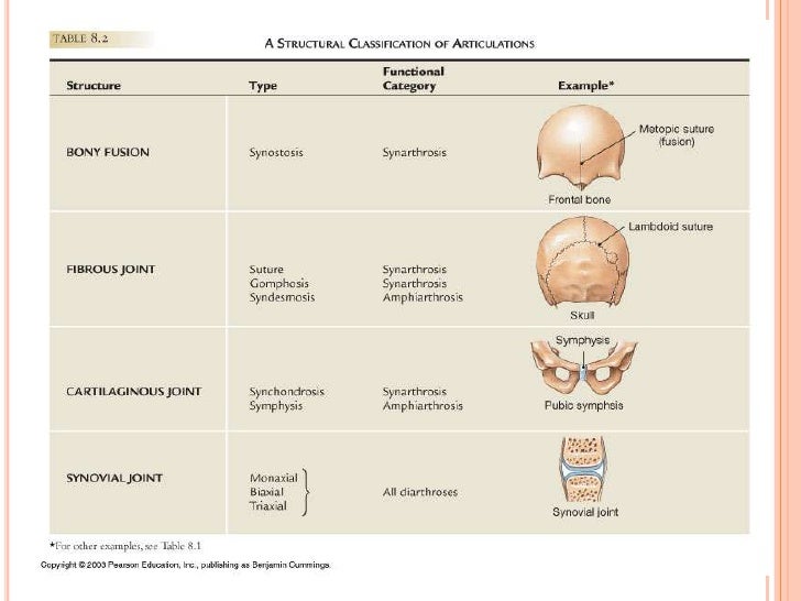 Classification of articulations