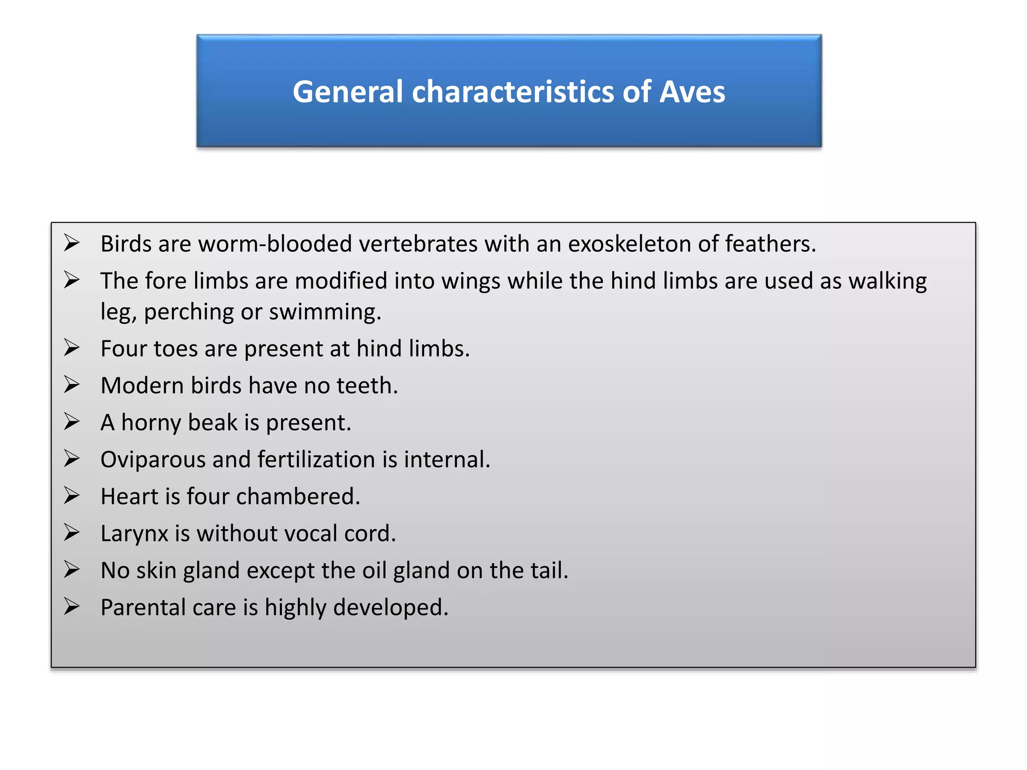 Classification of aves | PPTX