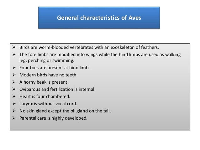Classification of aves