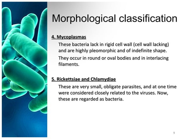 Classification of bacteria | PPT
