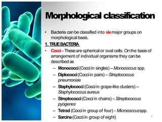 Classification of Bacteria by Shayam Kumar Mishra | PPTX