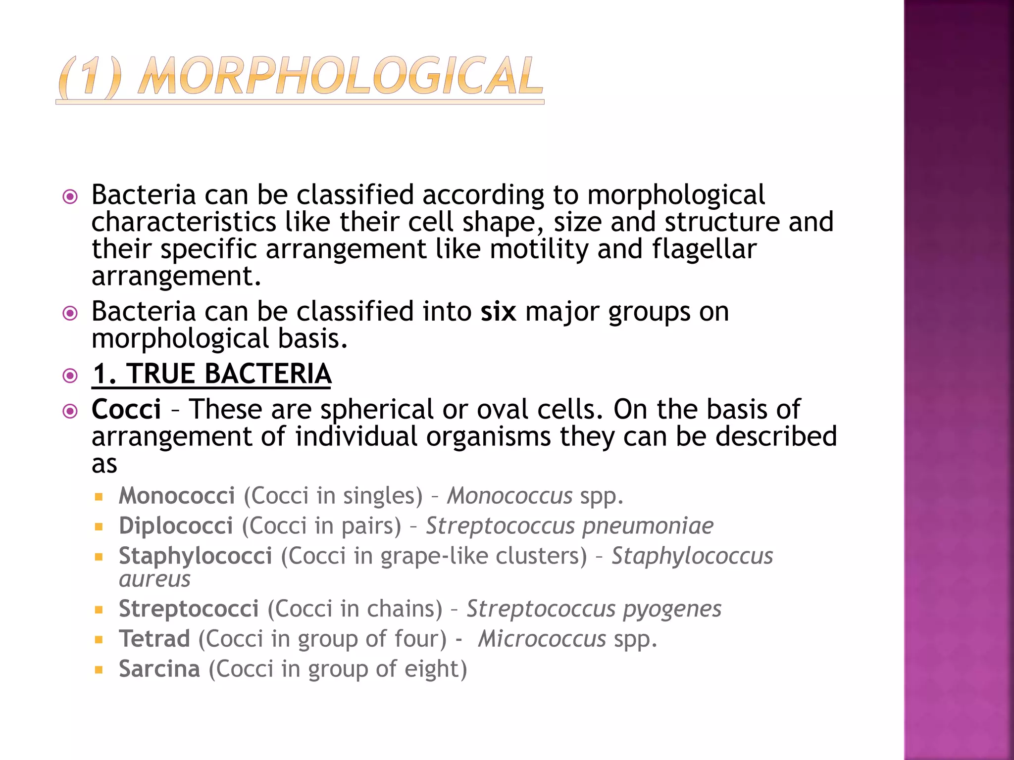 Classification of bacteria | PPTX