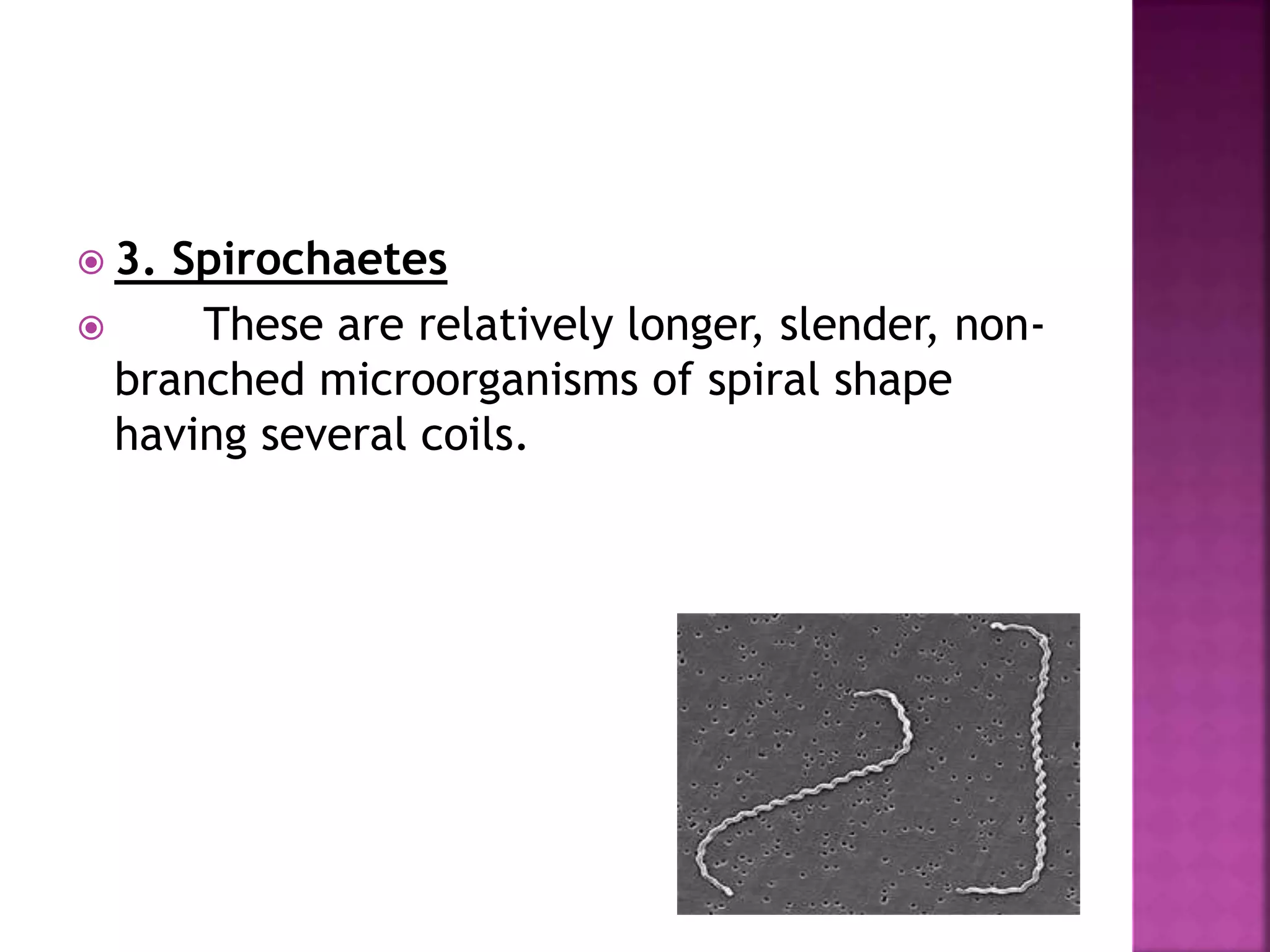 Classification of bacteria | PPTX