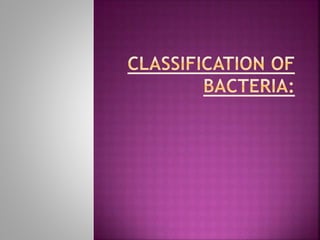 Classification of bacteria | PPTX