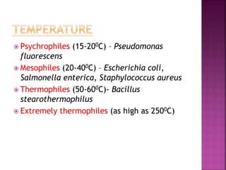 Classification of bacteria | PPTX