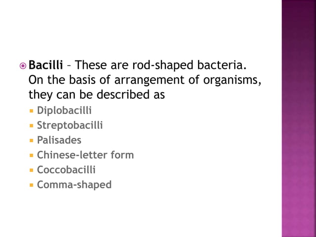 Classification of bacteria | PPTX | Biological Sciences | Science