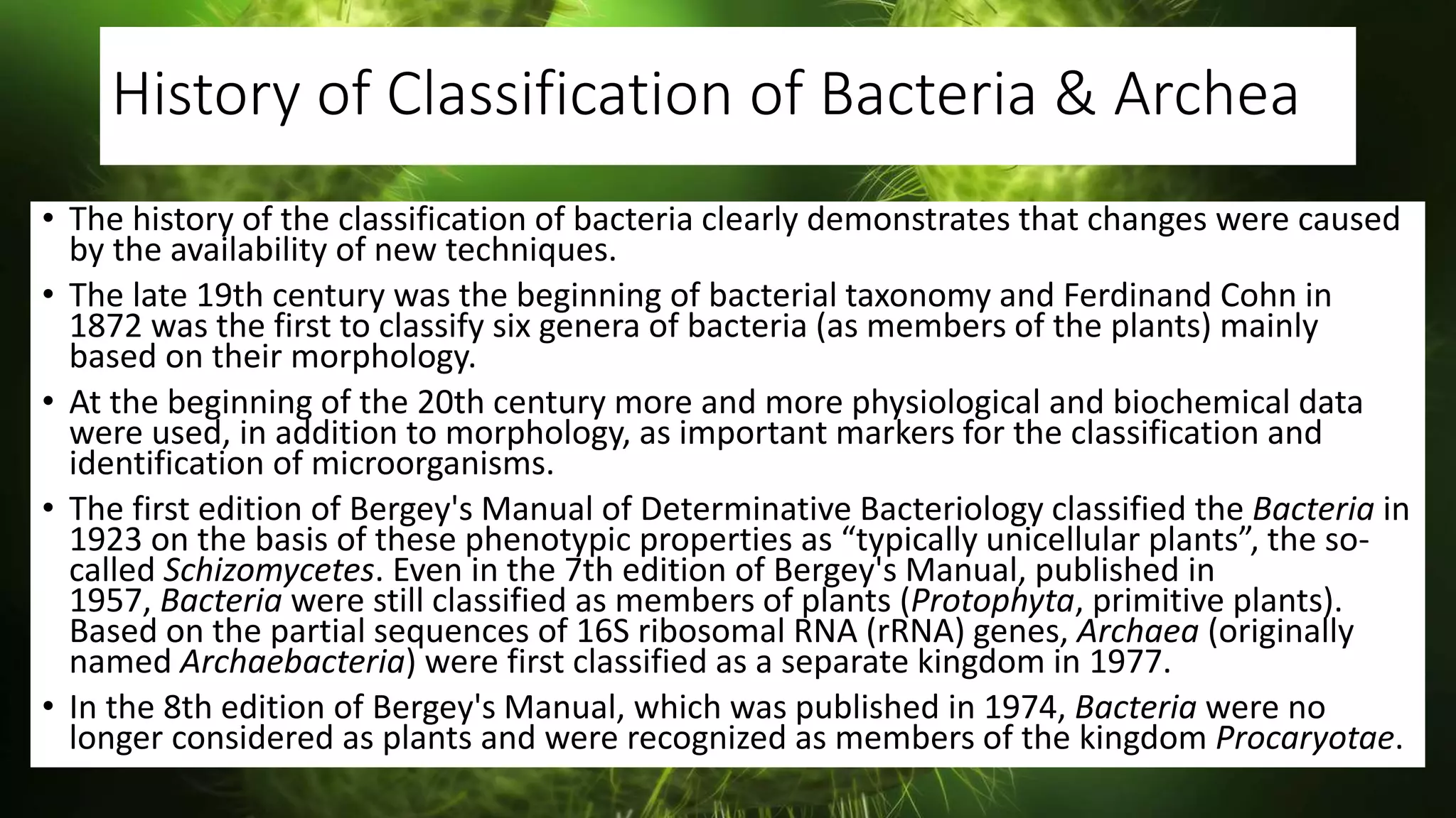 Classification of Bacteria | PPT