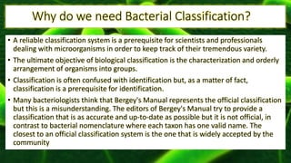 Classification of Bacteria | PPTX