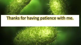 Classification of Bacteria | PPTX