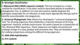 Classification of Bacteria | PPTX