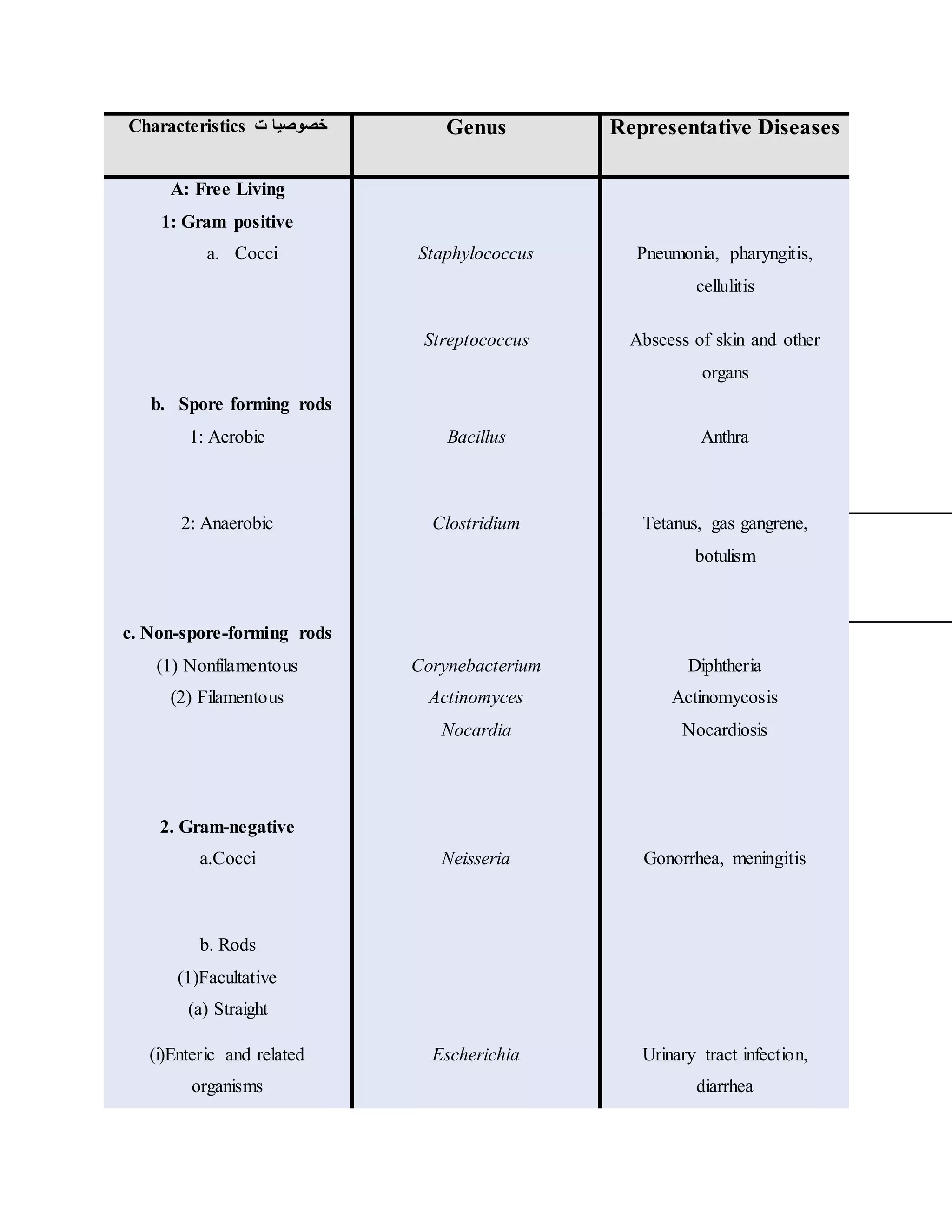 Classification of bacteria | DOCX