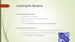 Classification of bacteria | PPTX