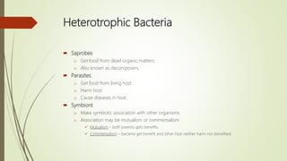 Classification of bacteria | PPTX